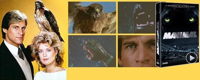 En DVD : "Manimal" l'intégrale ! [VIDEO] - News Séries - AlloCiné