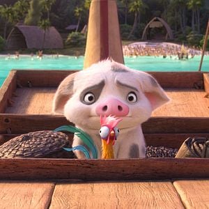 Vaiana 2 : Photos et affiches - AlloCiné