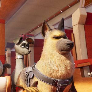 Falcon Express - Film 2025 - AlloCiné