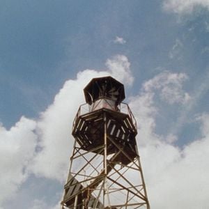 DIRECT ACTION - Film documentaire 2024 - AlloCiné