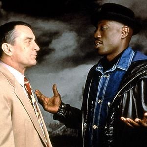 Le Fan - Film 1996 - AlloCiné