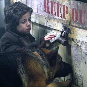 Photos de Danny Lerner - AlloCiné