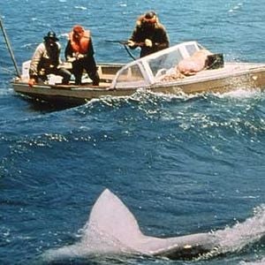 Les Dents de la Mer - film 1975 - AlloCiné