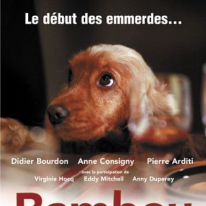 Bambou : Photos et affiches - AlloCiné