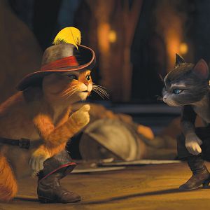 Le Chat Potté - Film 2011 - AlloCiné