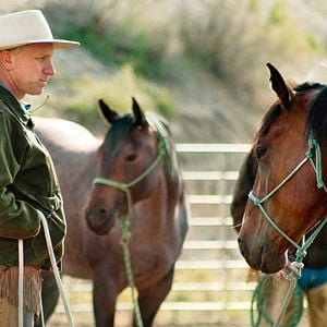 Buck - Film documentaire 2011 - AlloCiné