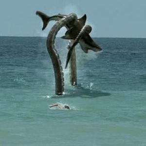 Sharktopus - Film 2010 - AlloCiné
