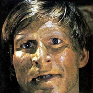 Manimal - Série TV 1983 - AlloCiné