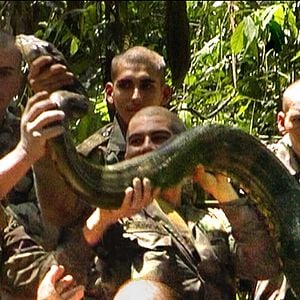 L'Homme aux serpents - Film documentaire 2012 - AlloCiné