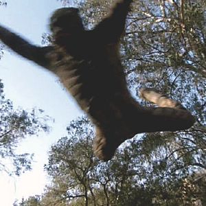 Creature Unknown - Film 2004 - AlloCiné