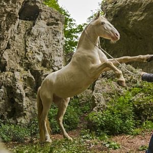 Whisper 2 - Film 2015 - AlloCiné