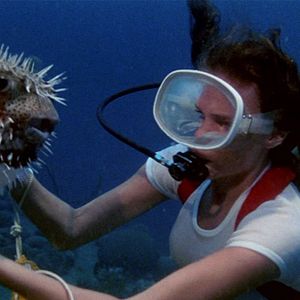 Les Grands Fonds - Film 1977 - AlloCiné