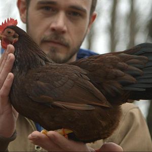 Chicken People - Film documentaire 2016 - AlloCiné