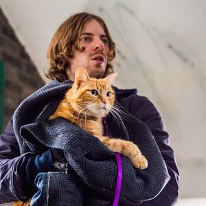 Un chat pour la vie - Film 2016 - AlloCiné