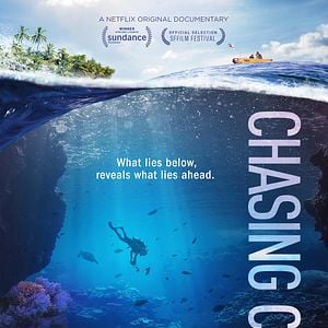 Chasing Coral - Film documentaire 2017 - AlloCiné