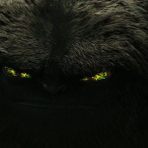 Abulele - Film 2015 - AlloCiné