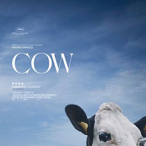 Cow - film 2021 - AlloCiné