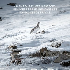 Le Pari - Film documentaire 2022 - AlloCiné