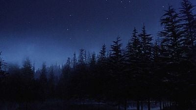 Un Noël en Écosse en streaming - AlloCiné