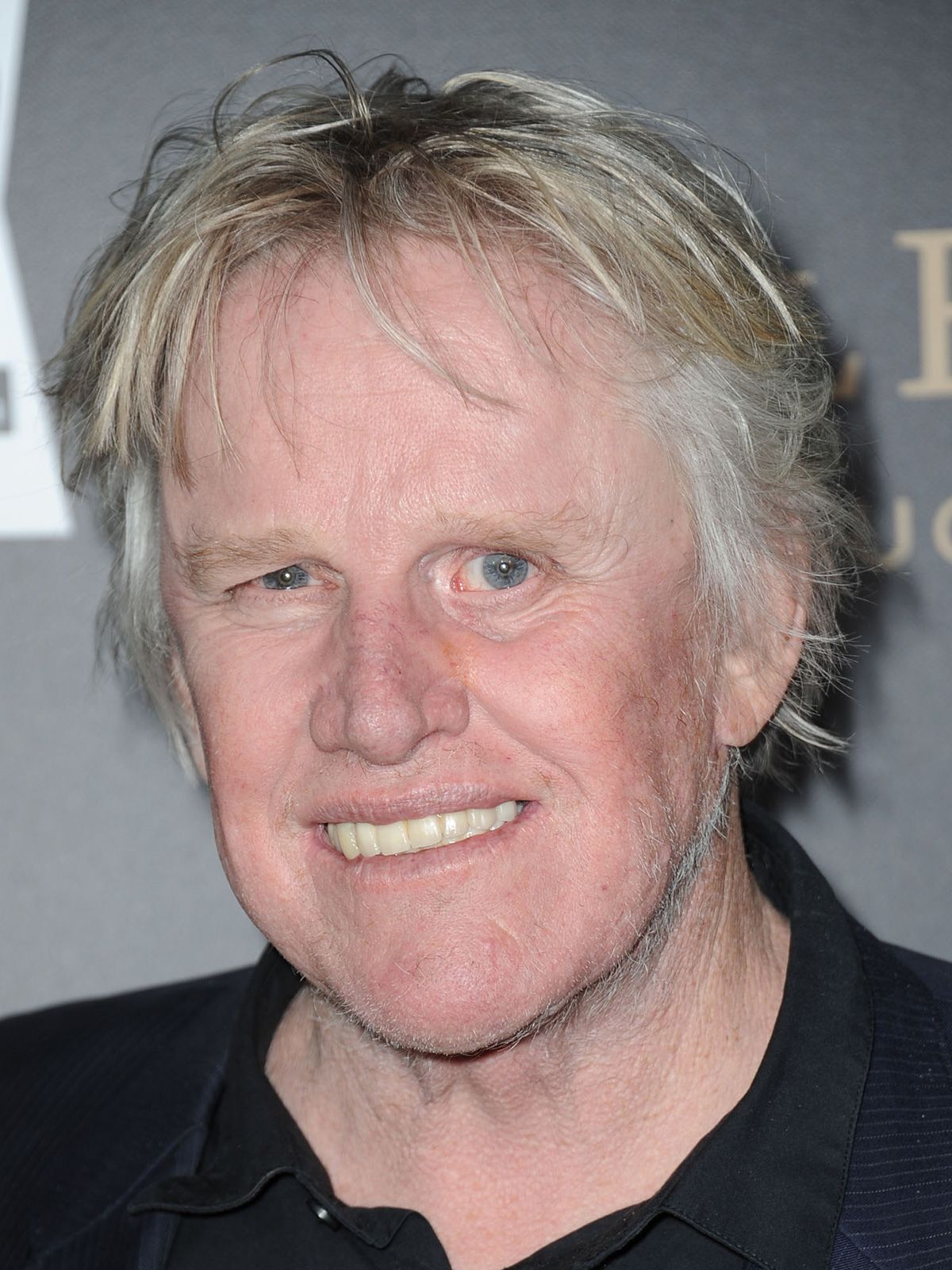 Gary Busey : Filmographie - AlloCiné