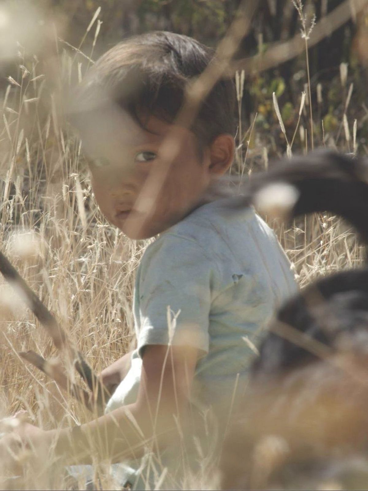 Sujo - Film 2024 - AlloCiné