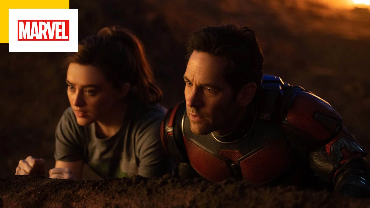 Ant-Man 3 : tout ce qu'il faut savoir avant Quantumania - Actus Ciné ...