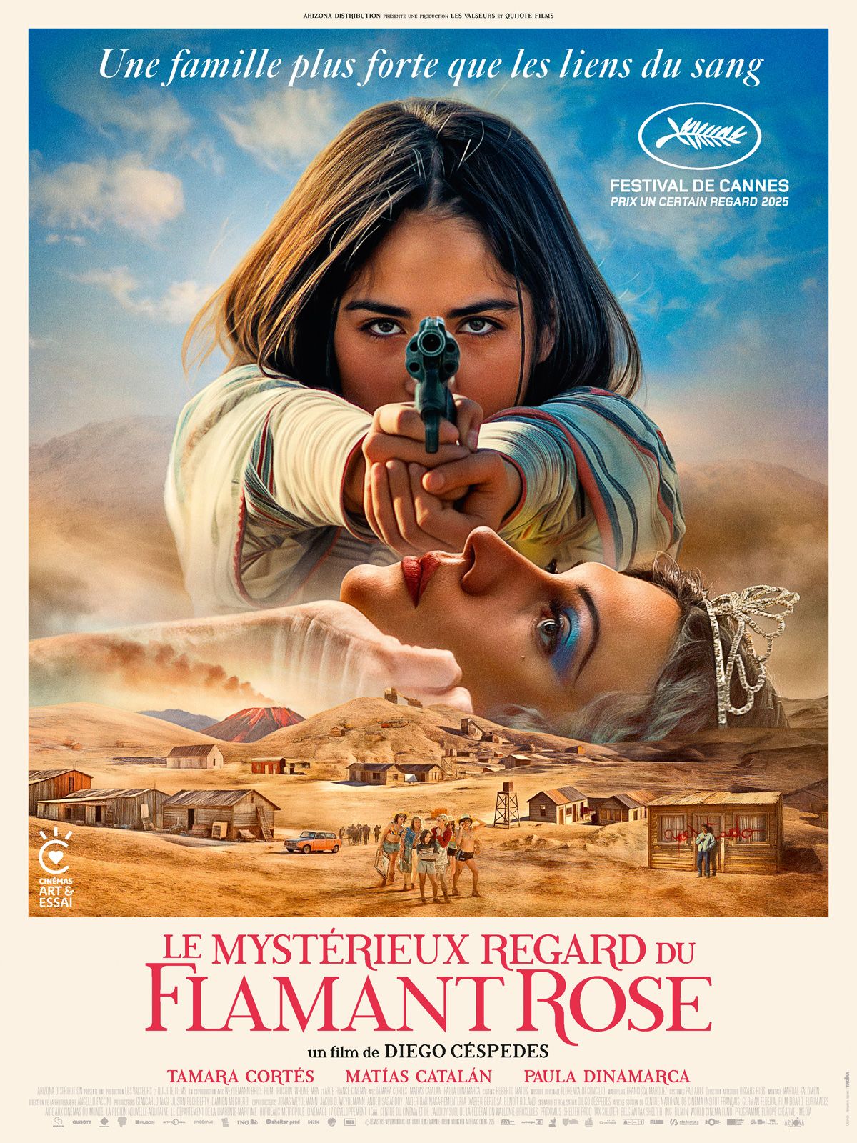 Cinémas et séances du film Le Mystérieux regard du flamant rose - Somme ...