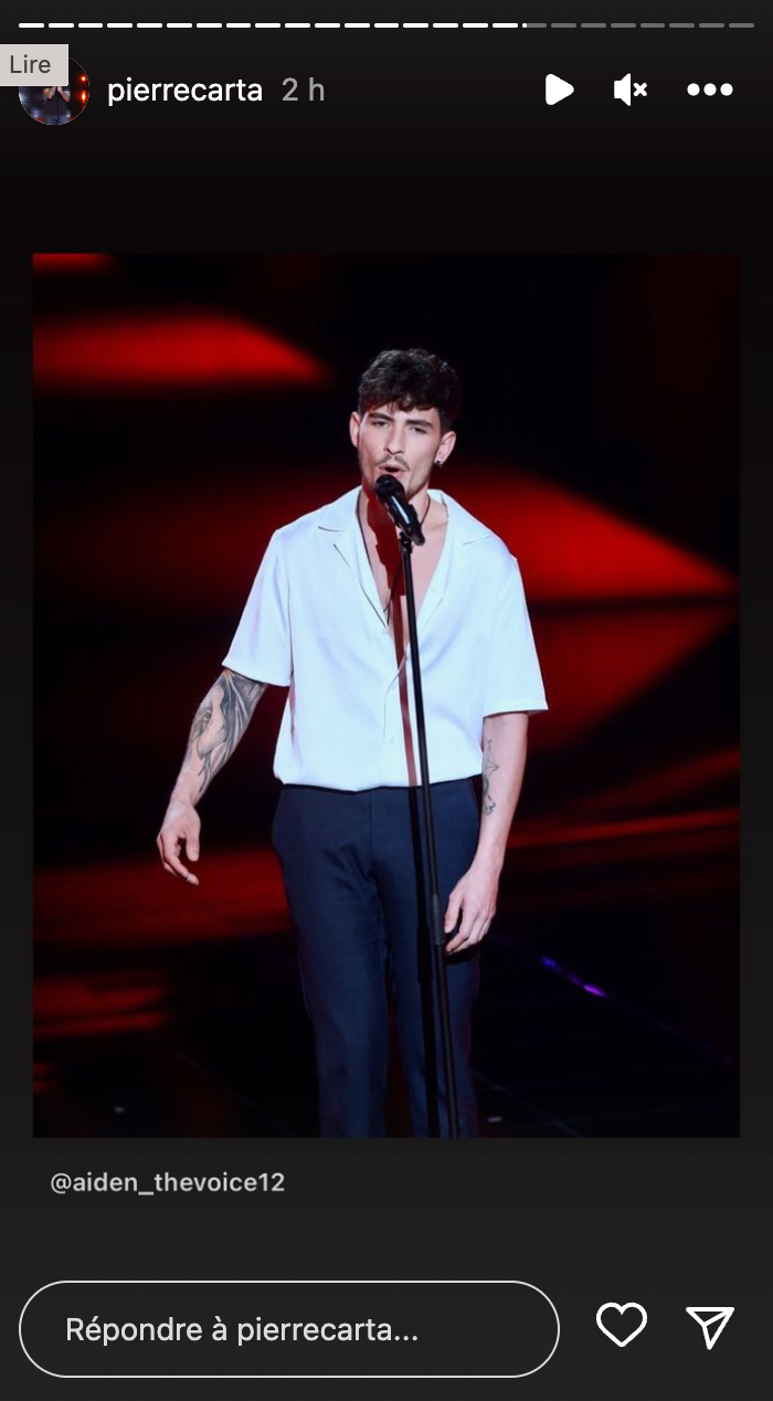 The Voice 2023 : Pierre Carta, Mister France Corse 2021, va tenter sa ...