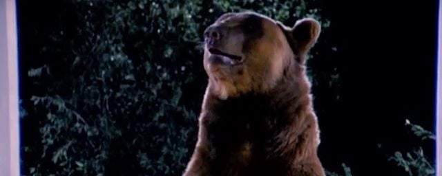 Manimal : comment ça se termine ? - News Séries - AlloCiné