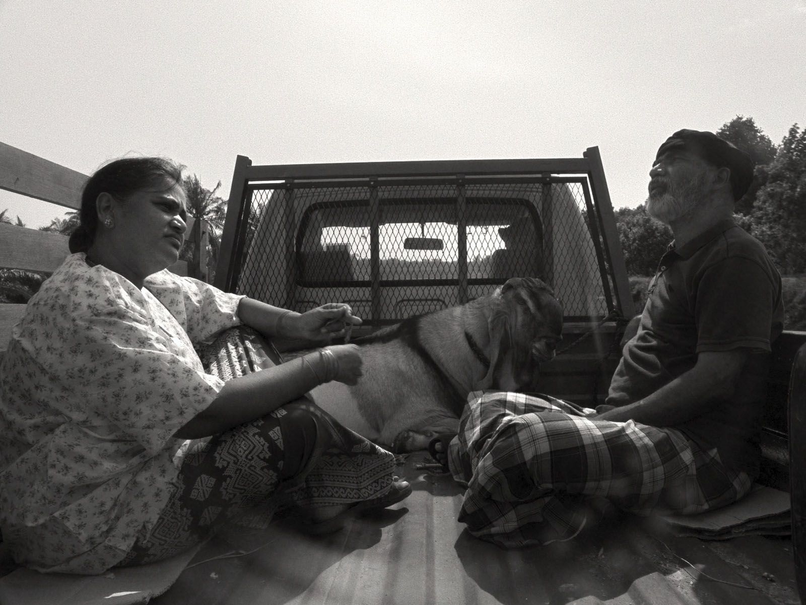 Photo de Bleat! - Photo 2 sur 6 - AlloCiné