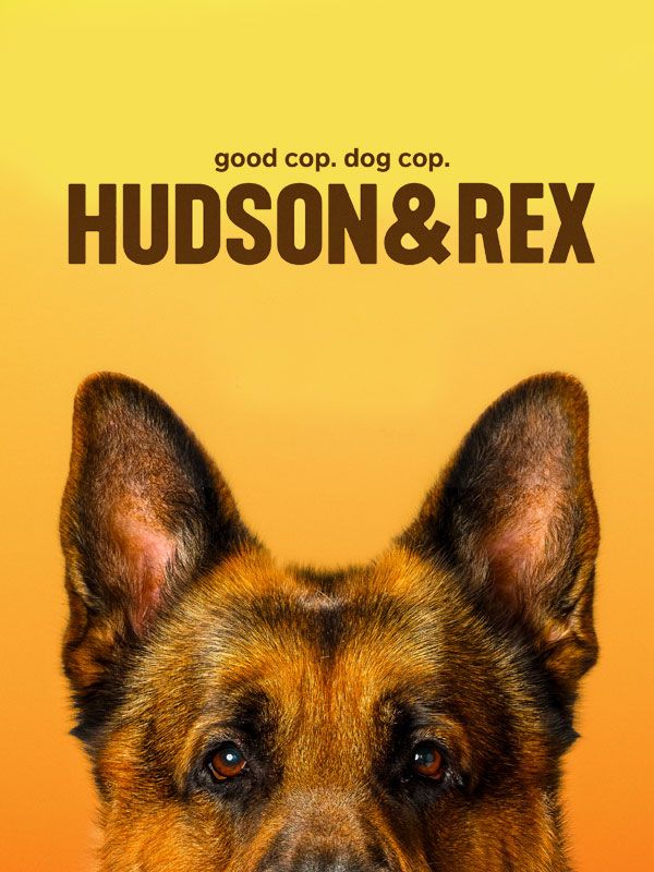 Casting Hudson et Rex saison 9 - AlloCiné