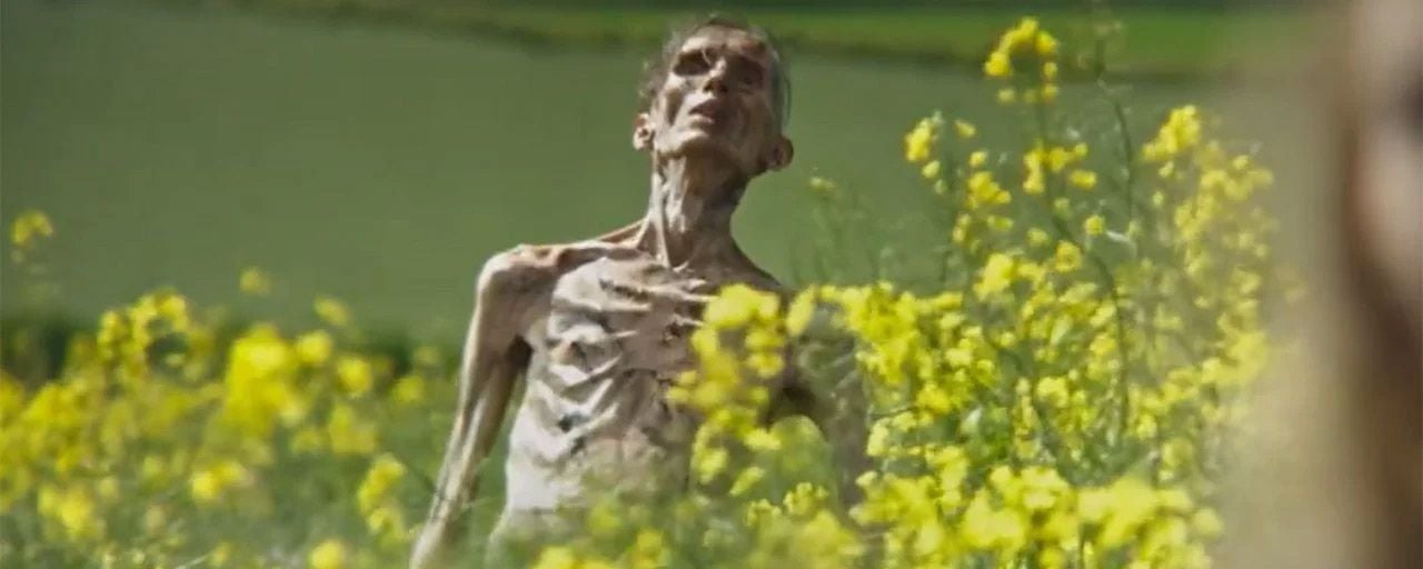 28 ans plus tard : Cillian Murphy est-il dans la suite du film culte ? - Actus Ciné - AlloCiné