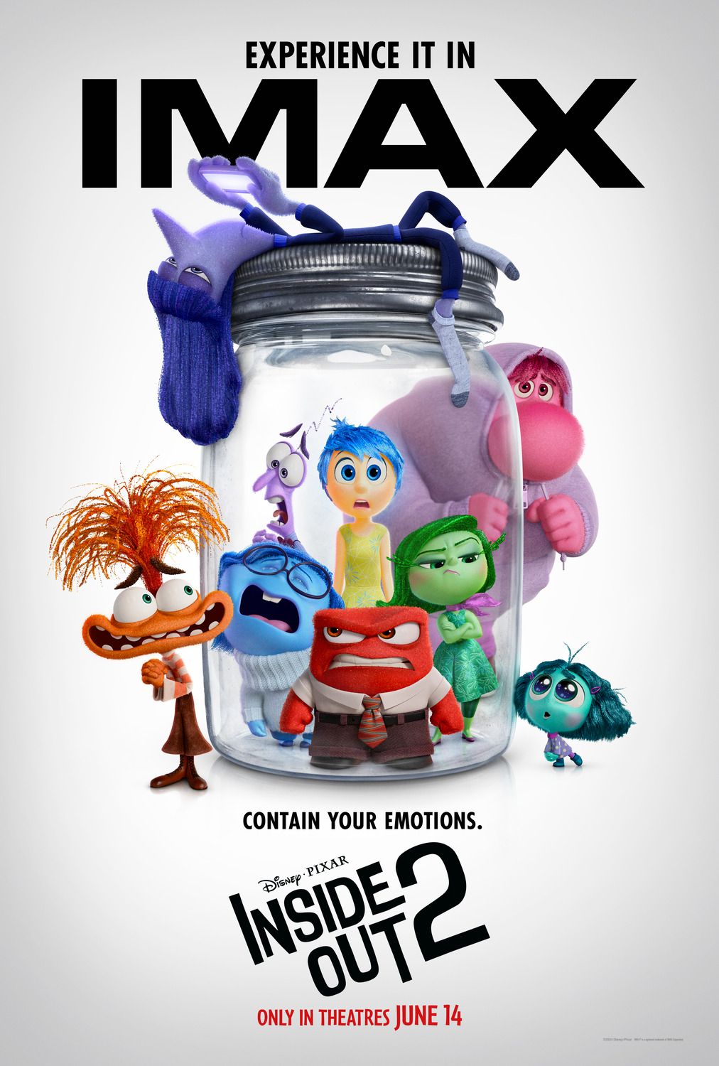 Affiche du film Vice-Versa 2 - Photo 27 sur 43 - AlloCiné
