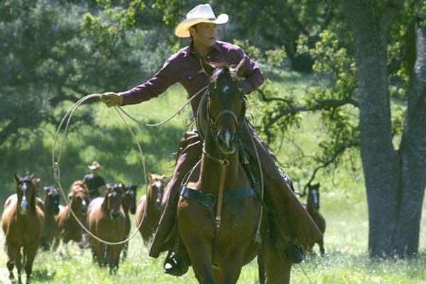 Photo du film Flicka - Photo 6 sur 13 - AlloCiné