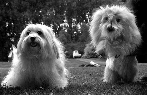 Photo du film Avida - Photo 13 sur 19 - AlloCiné