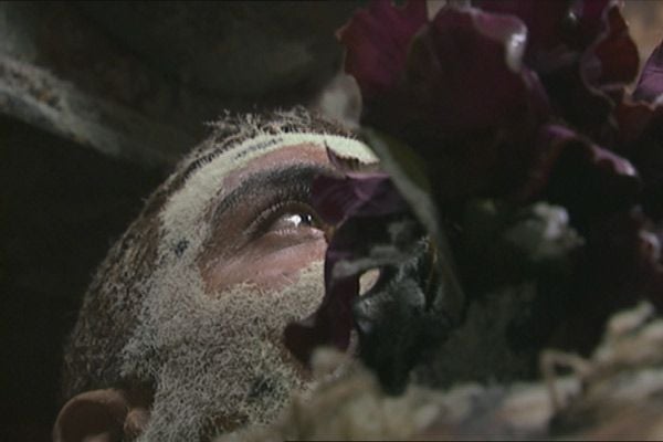 Photo de Matthew Barney - Destricted : Photo Matthew Barney - Photo 18 ...