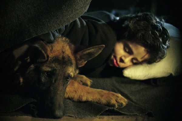 Photo de Danny Lerner - Rintintin : Photo Ana Veleva, Danny Lerner ...