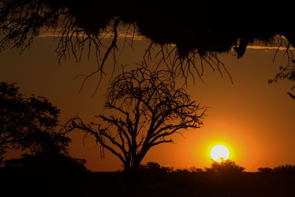 Photo du film La Famille Suricate - Photo 19 sur 27 - AlloCiné