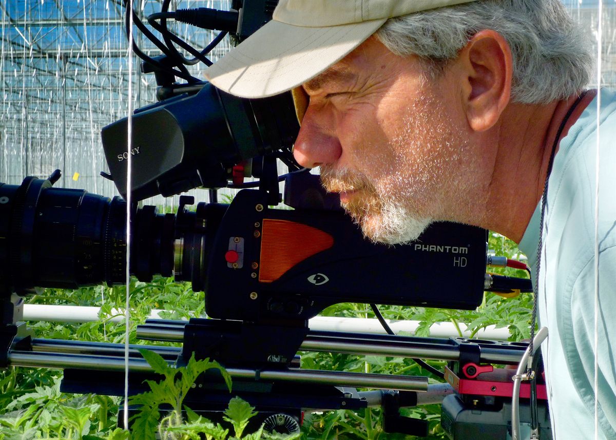 Photo du film Pollen - Photo 26 sur 74 - AlloCiné