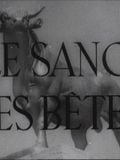 Le Sang des bêtes - Court Métrage - AlloCiné