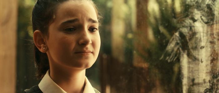 Photo du film Snowflake, le gorille blanc - Photo 17 sur 38 - AlloCiné