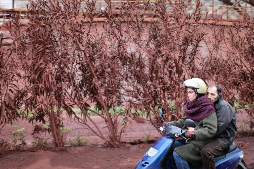 Photo du film Attenberg - Photo 4 sur 8 - AlloCiné