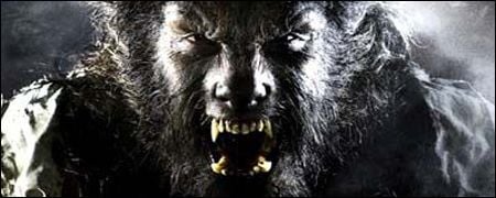 Un reboot pour "Wolfman" ? - Actus Ciné - AlloCiné