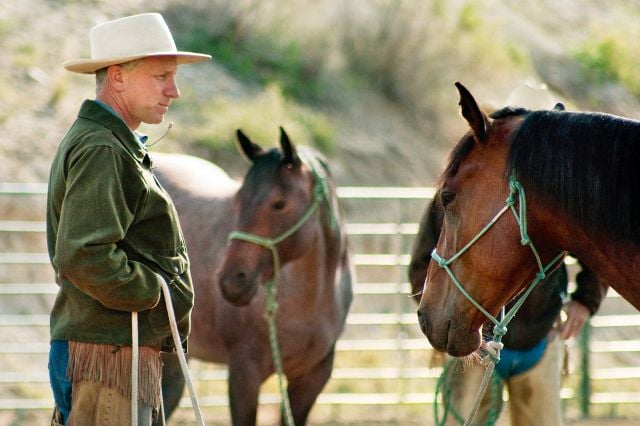 Photo du film Buck - Photo 9 sur 11 - AlloCiné