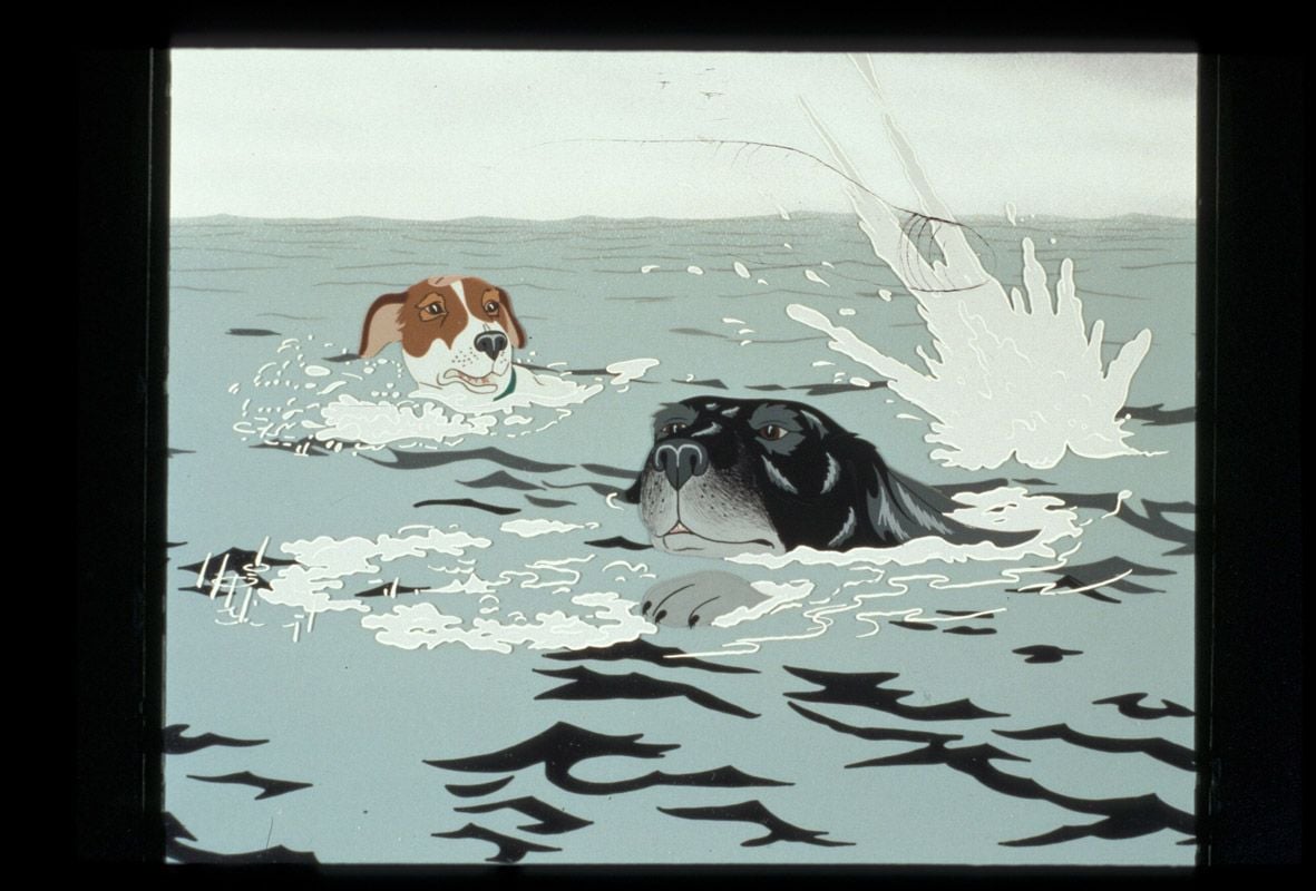 Photo du film The Plague Dogs - Photo 2 sur 8 - AlloCiné