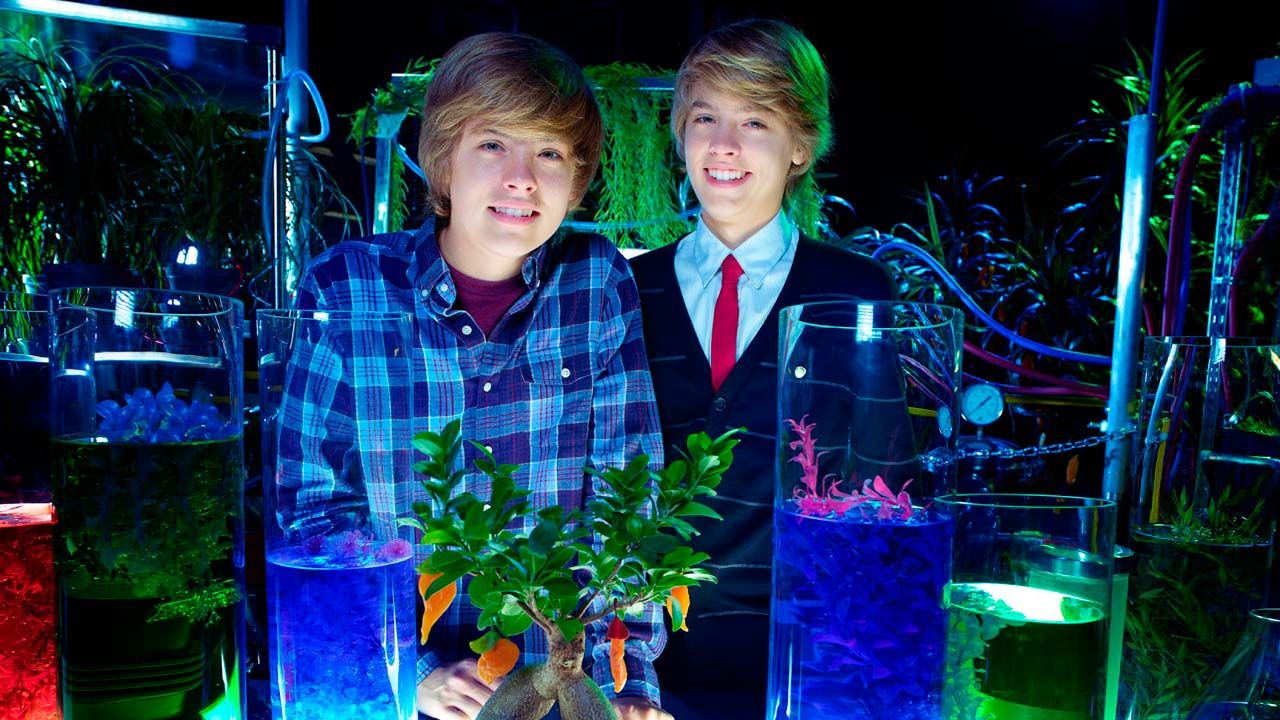Photo de Zack et Cody : le film - Photo 2 sur 2 - AlloCiné