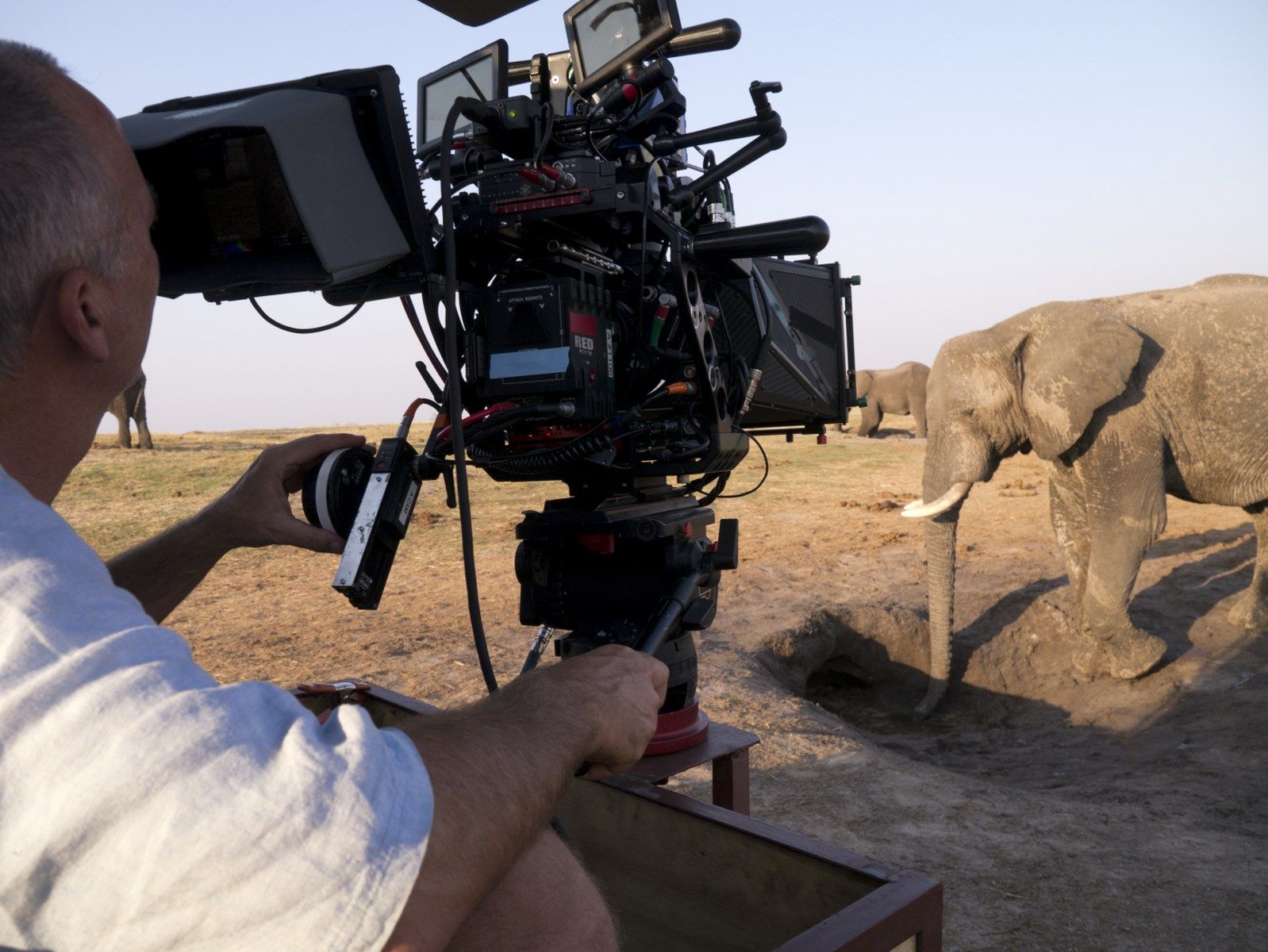 Photo du film Nature - Photo 3 sur 42 - AlloCiné