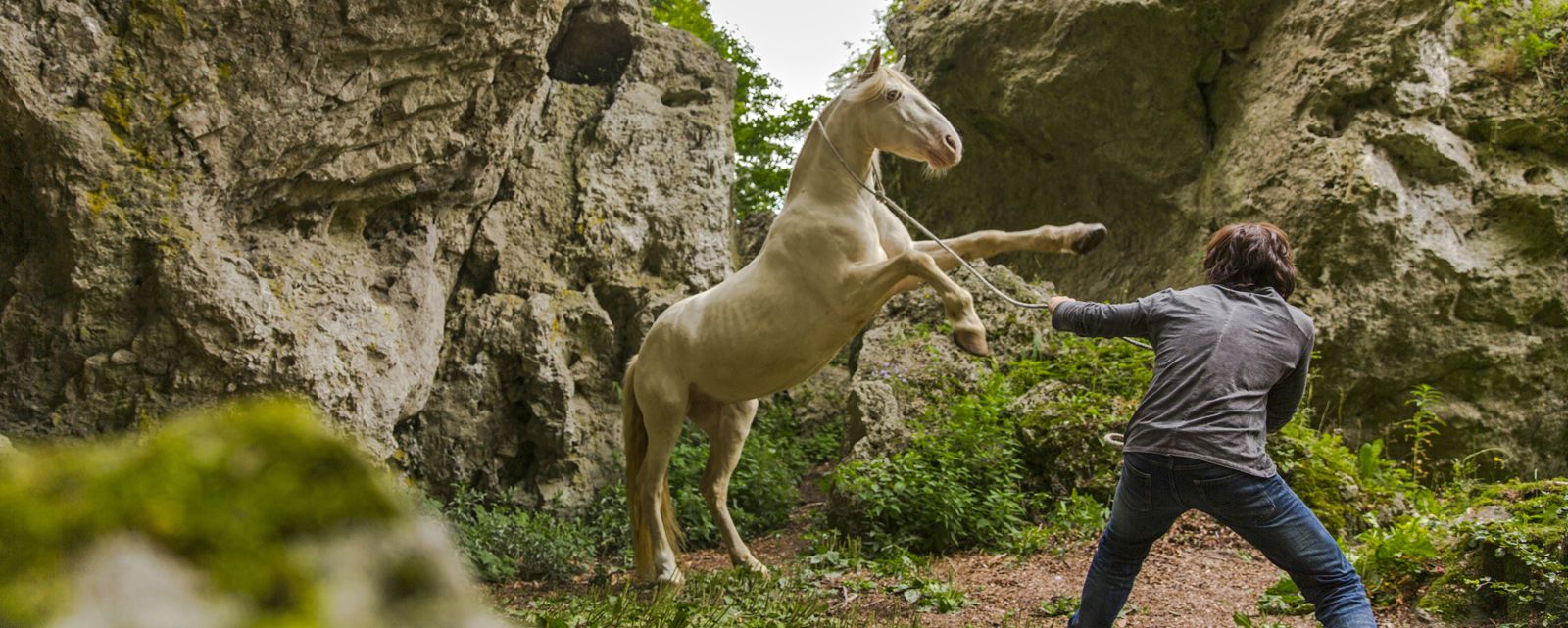 Photo du film Whisper 2 - Photo 8 sur 40 - AlloCiné