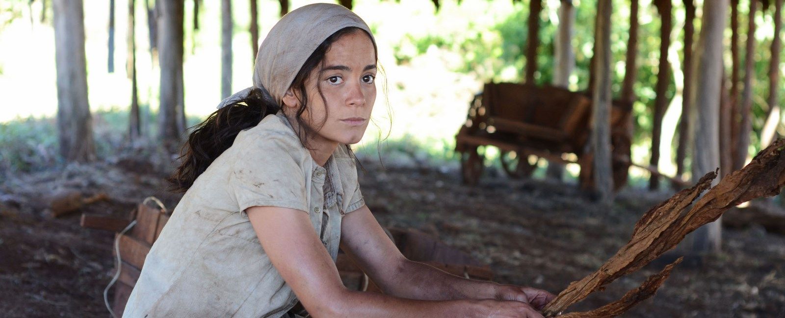 Photo du film Ardor - Photo 8 sur 21 - AlloCiné