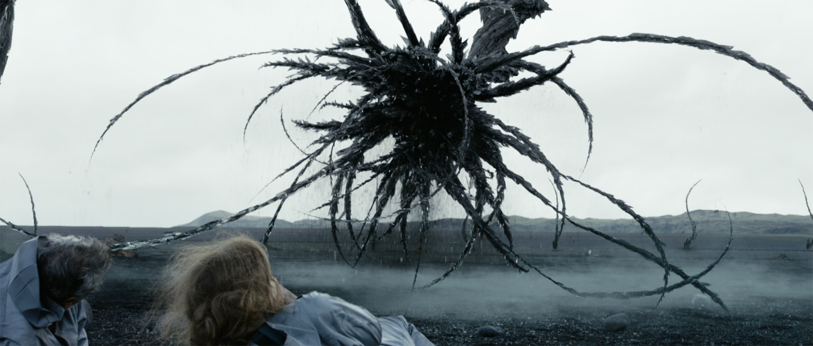 Photo du film Titanium - Photo 13 sur 29 - AlloCiné